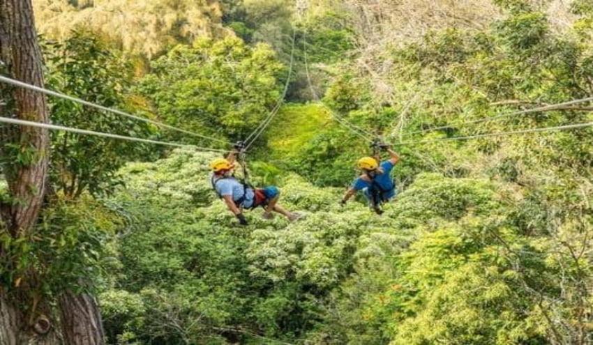 Kohala Zip & Dip in Big Island - Hawaiian Planner