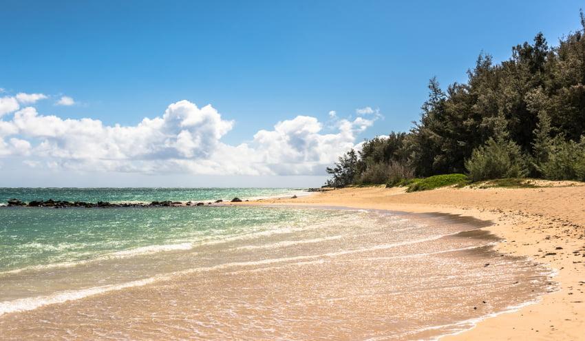 Kanaha Beach Park in Maui - Hawaiian Planner
