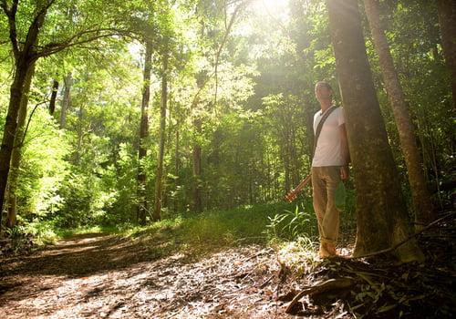 Keanae Arboretum in Maui - Hawaiian Planner