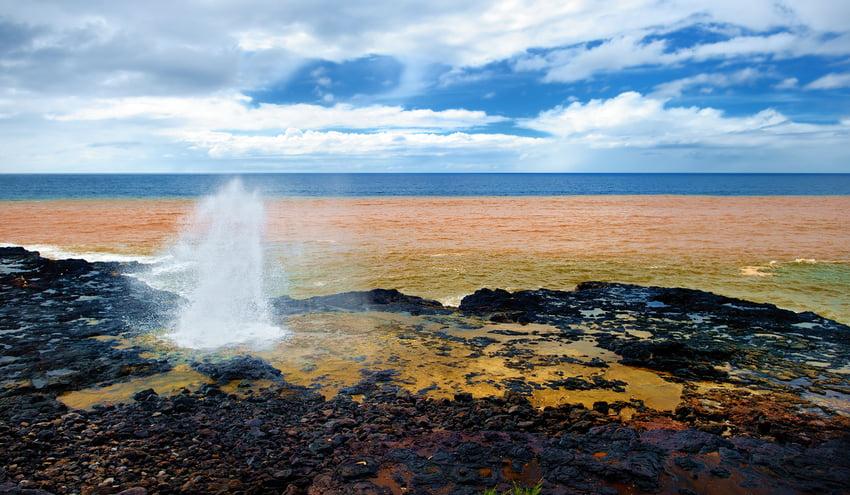 Spouting Horn in Kauai - Hawaiian Planner
